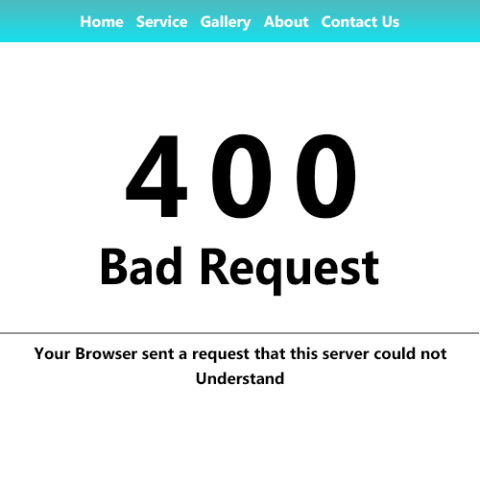 5 Common Types of Client Side Errors | Annexal