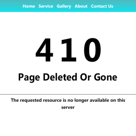 5 Common Types of Client Side Errors | Annexal